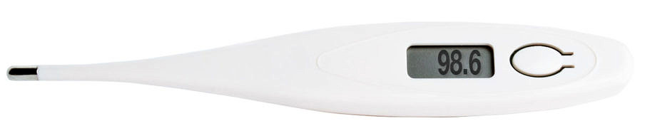 Buy Digital Thermometer - Dual-Scale from Canada